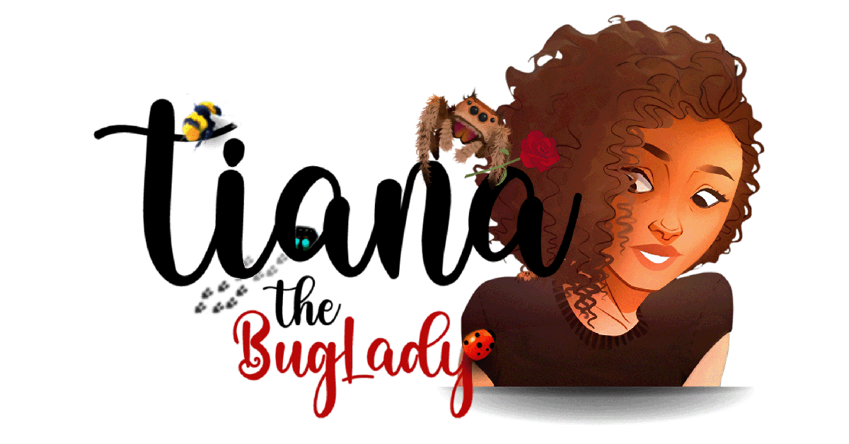 Tiana The Bug Lady | tiana_thebugylady
